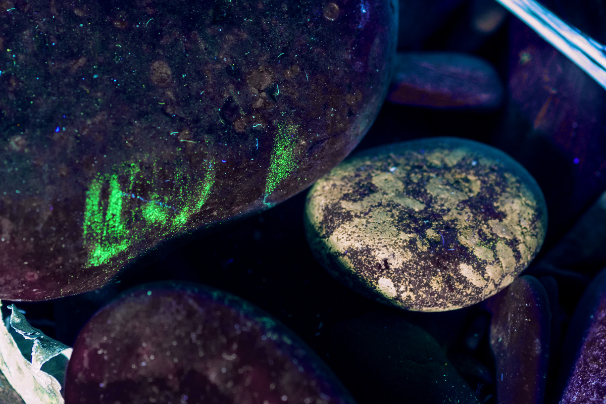 The Challenge of Correctly White Balancing Fluorescence Photography ...