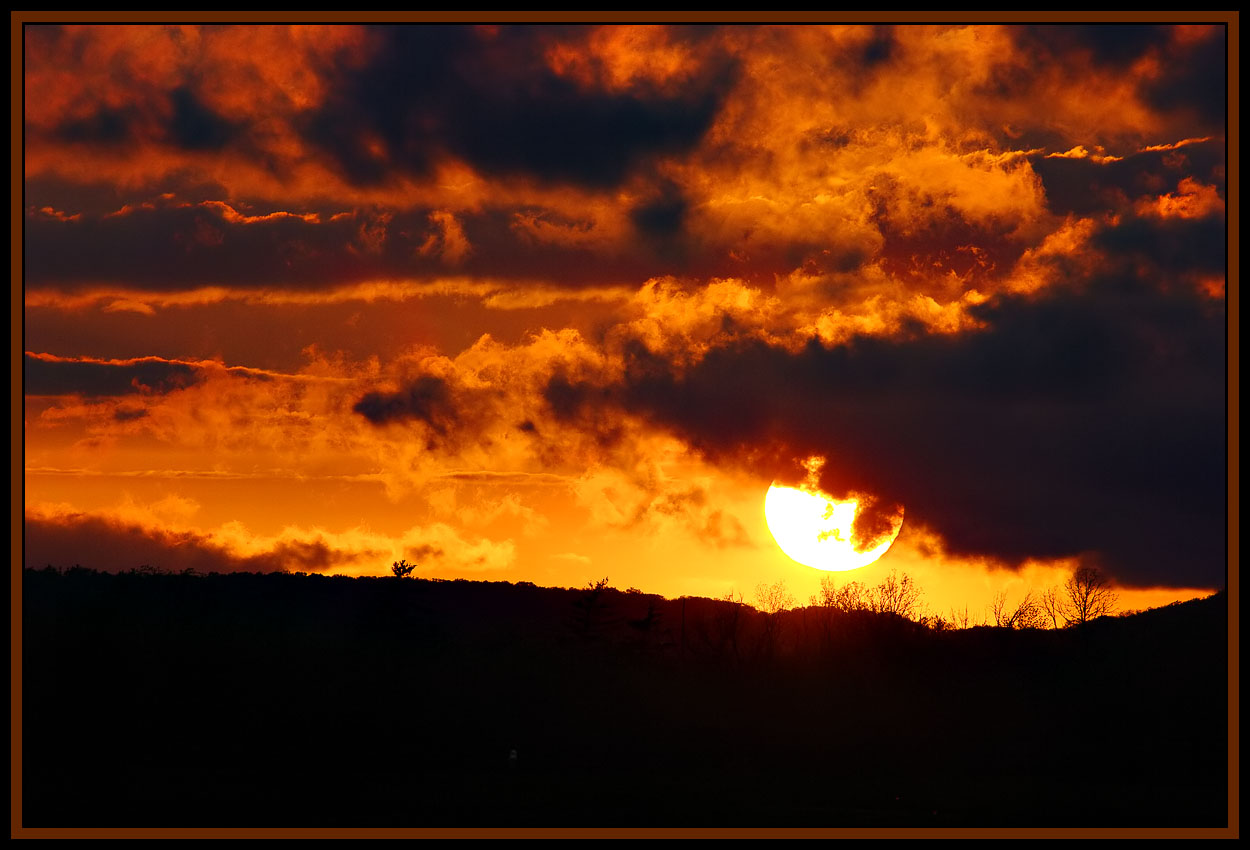 Shooting Into The Sun - PentaxForums.com