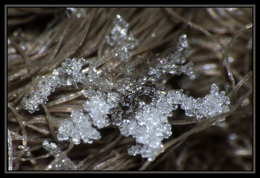 Snowflakes in the real world - PentaxForums.com